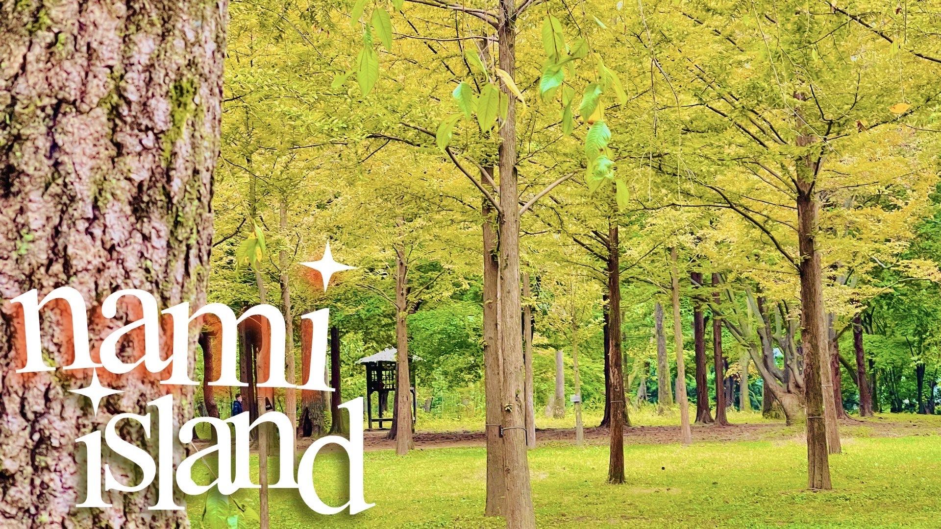 How to go to Nami island without bus tour - DIY